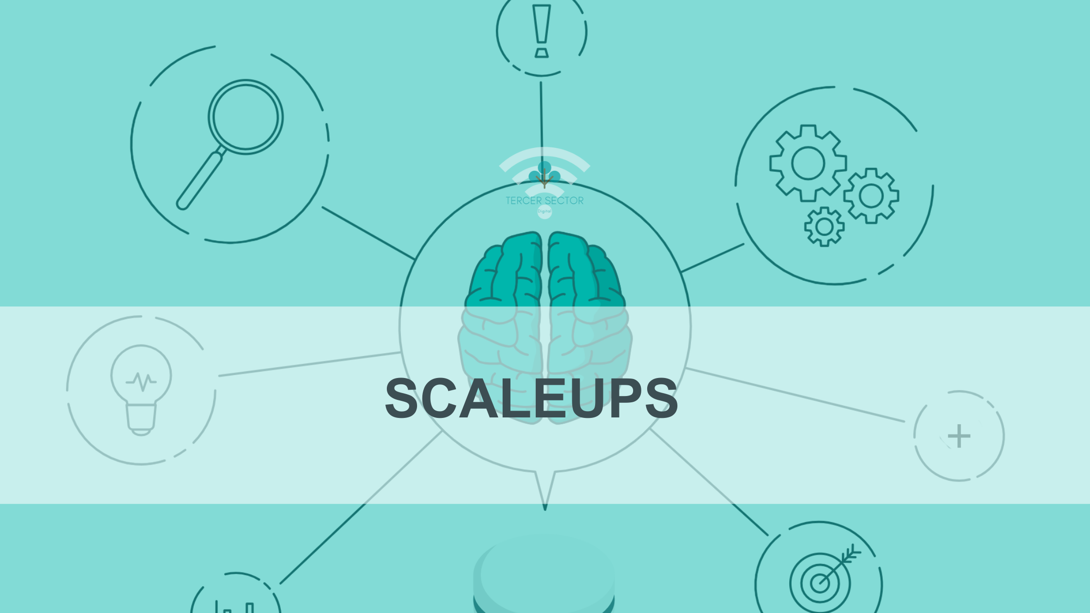 ¿Has oído hablar de las ‘scaleups’? Qué son y en qué se diferencian de las ‘startups’