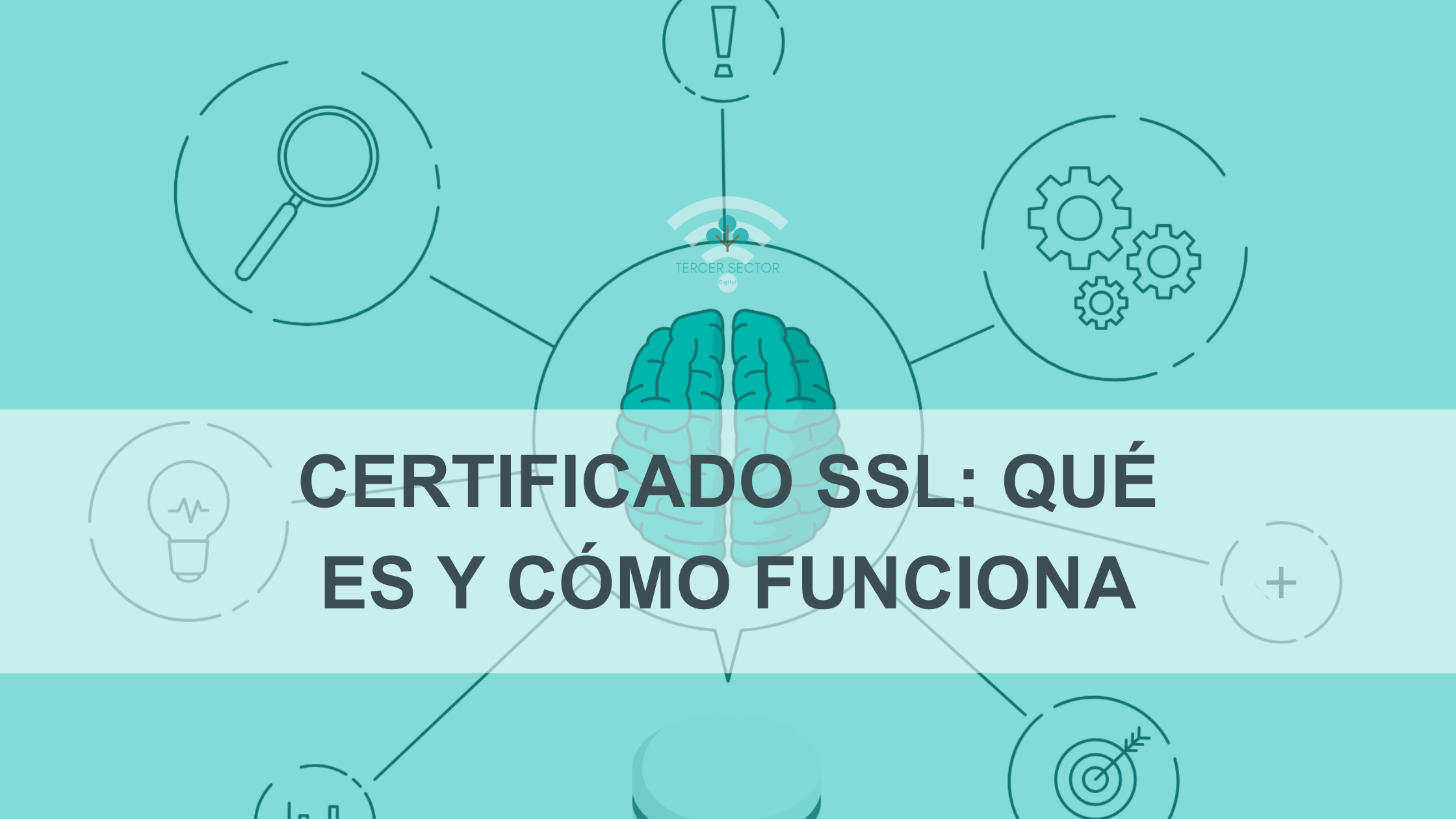 Certificado SSL: qué es y cómo funciona