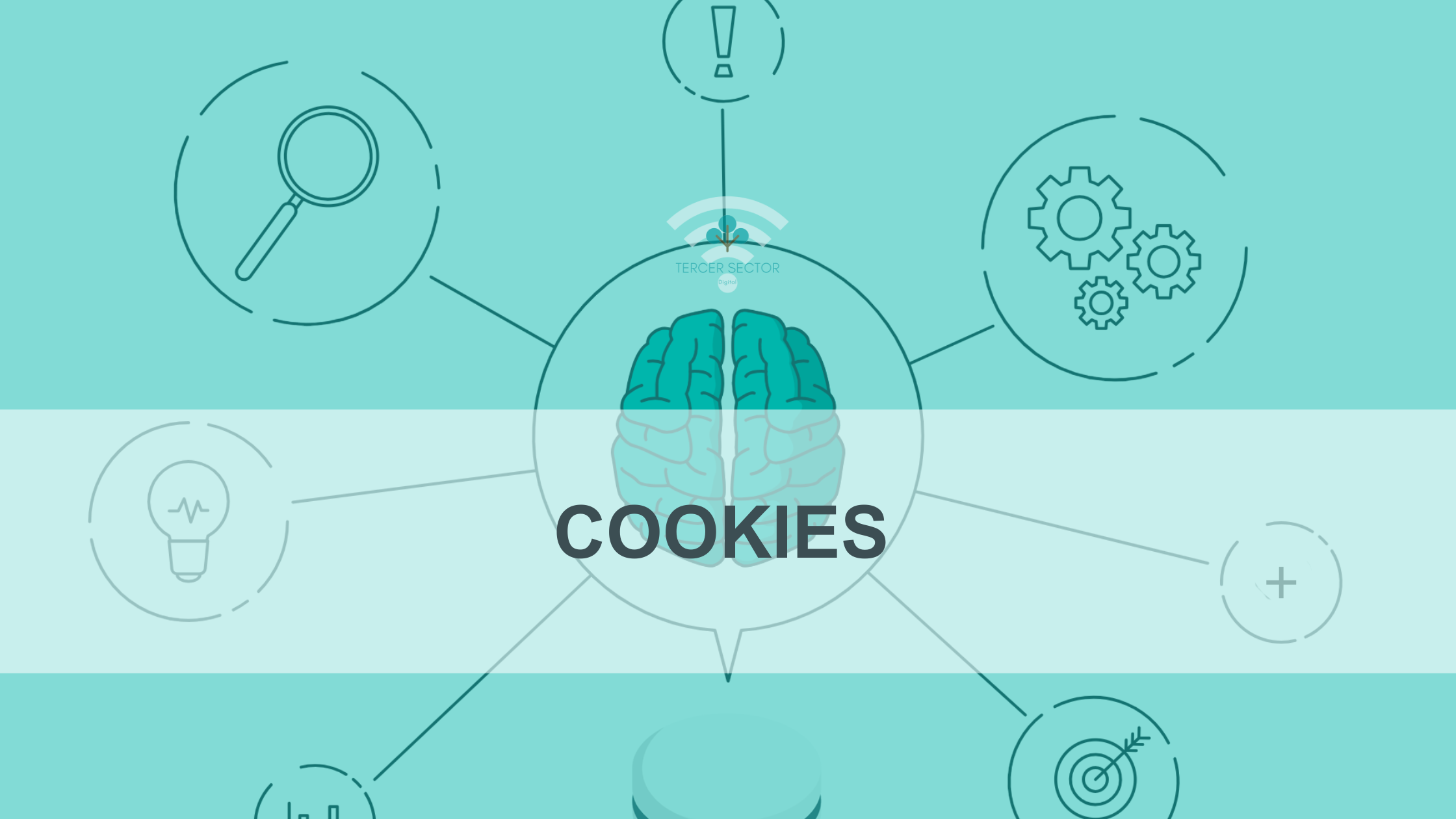 Cookies: qué son, para qué sirven y cuántos tipos hay