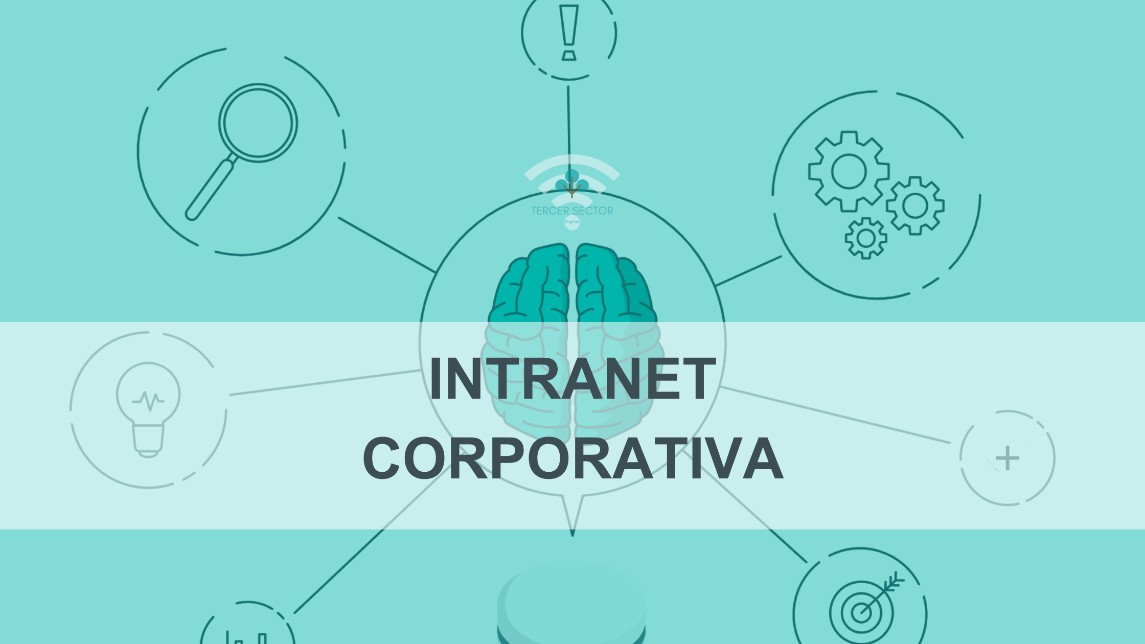 Intranet corporativa: ¿qué es y cómo mejora los procesos de una entidad?
